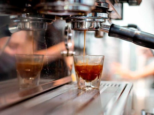 Locations – Avid Coffee